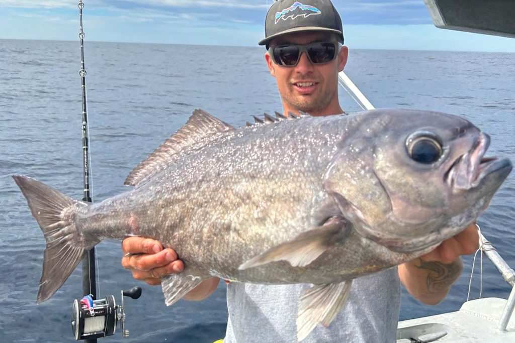 Trip Options - Kaikoura Fishing Adventures